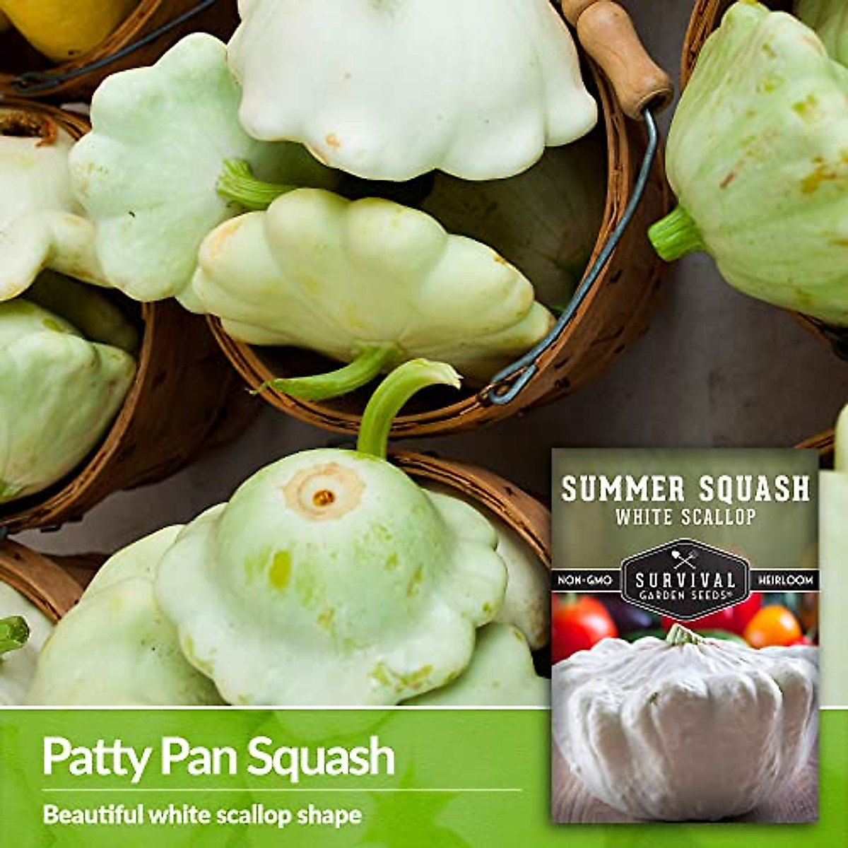 Survival Garden Seeds - White Scallop Summer Squash Seed for Planting - Packet with Instructions to Plant and Grow Patty Pan Squash in Your Home Vegetable Garden - Non-GMO Heirloom Variety