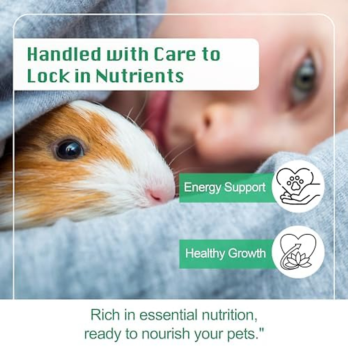 Best Bait 50 Canadian Nightcrawlers (4-6 inch) - Premium Fishing Bait or Pet Feeder - High-Protein, Nutrient-Rich Live Worms for Fishing, Reptiles, Birds & Small Animals - Ideal for Anglers