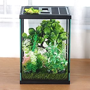 crapelles Black Small Vertical Insect GlassTerrarium, 7.8x7.8x10.8'' Reptile Tank, for Tarantula Larvae Caterpillar Frog Snail Spider Hermit Crab Habitat Container House Cricket Breeding Box