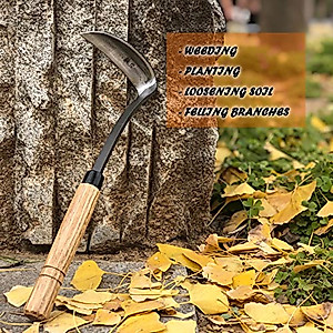 SHANFEEK Japanese Weeding Sickle Hoe Gardening Tools 13-Inch Weed Remover Tool High-Carbon Steel One-Piece Molding with Hard Solid Wood Handle(Snake-Necked)