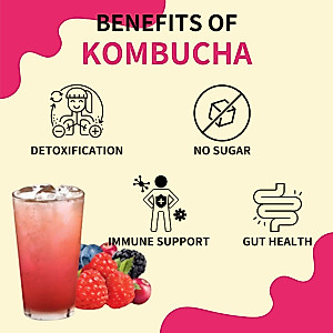 Garden Kombucha Tea, Powder 5g x 20 Sachets (100g/3.52oz) Probiotics, Prebiotics, Sugar Free, Diet Tea, Healthy Drink with Bottle (FREE BOTTLE SHAKER) (SevenBerry)