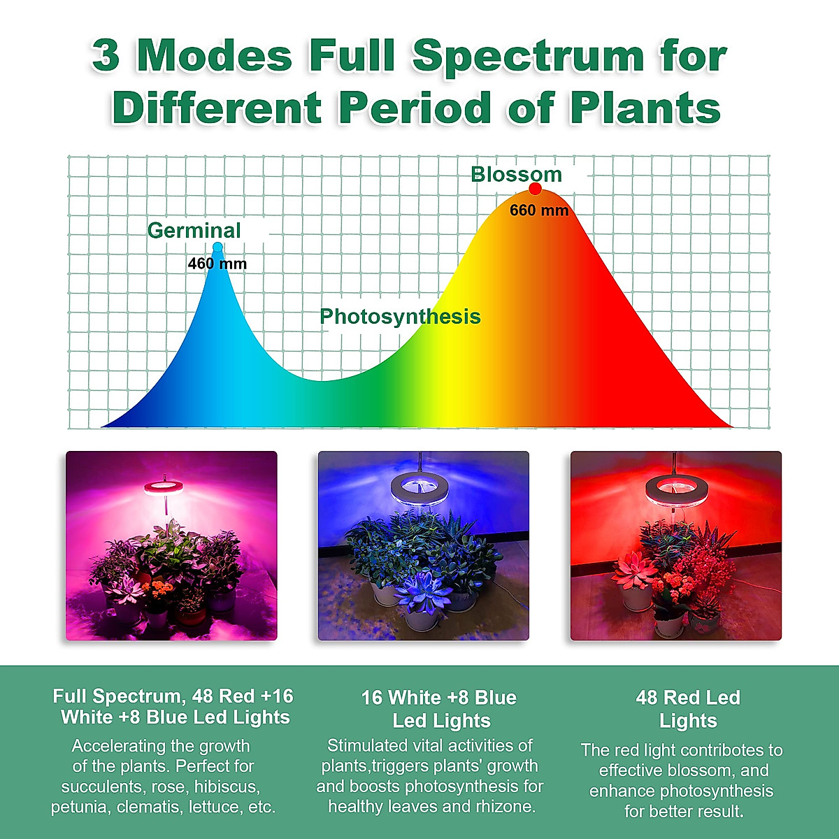 eWonLife Grow Lights for Indoor Plants Full Spectrum, Small Plant Lights Lamp, Height Adjustable Grow Light Strip, Automatic Timer, 3 Spectrum Modes with White, Blue, Red, for House Plants