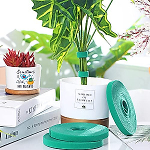 Plant Tapes 200 Feet x 1/2 Inch 6 Rolls Green Garden Tape for Climbing Plant Support Recycle Garden Ties Reusable Plastic Nylon Loop Fastening Plant Ties for Indoor Outdoor Tomato Vines Flowers Trees