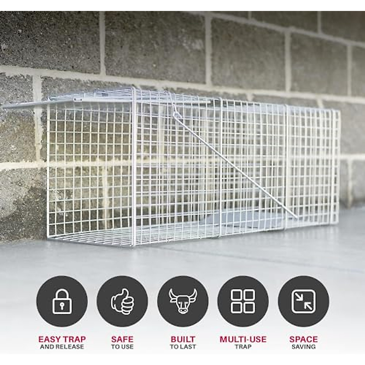 Heavy Duty Catch Release Medium Live Humane Animal Cage Trap for Rats, Squirrels, Chipmunks, Weasels and Other Similar Sized Animals 24x7x7