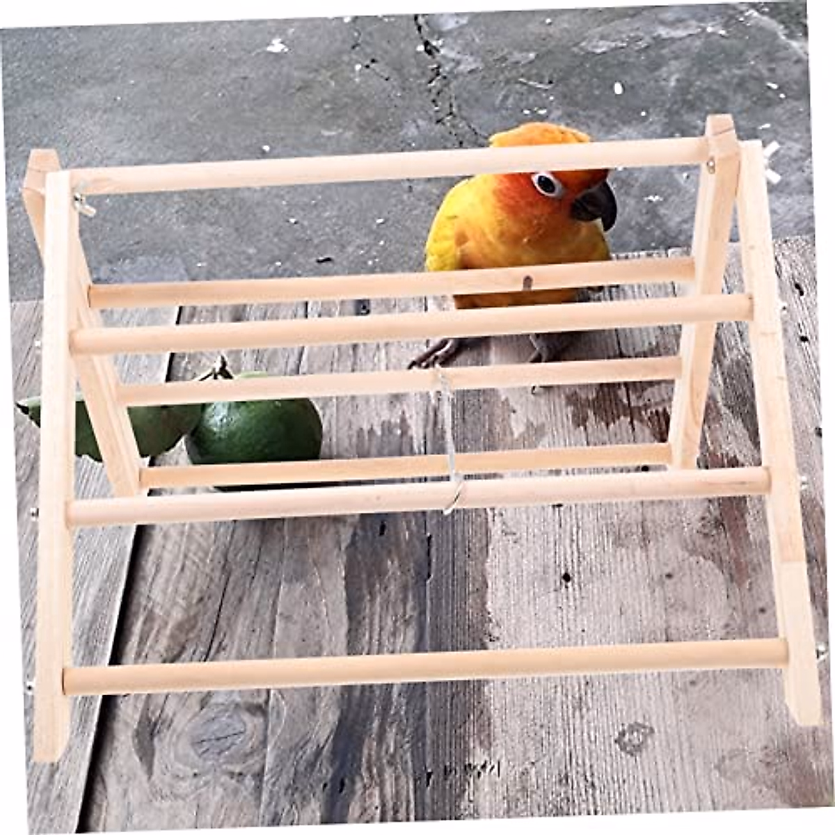 LIFKICH 1pc Perch Trainning Funny Parakeets Conures Toy Birdcage Rod Portable Balancing Safe Playpen Bar Rest Branch Ladder Rooster Platform Standing Folding Play Pet Chicken Exercise