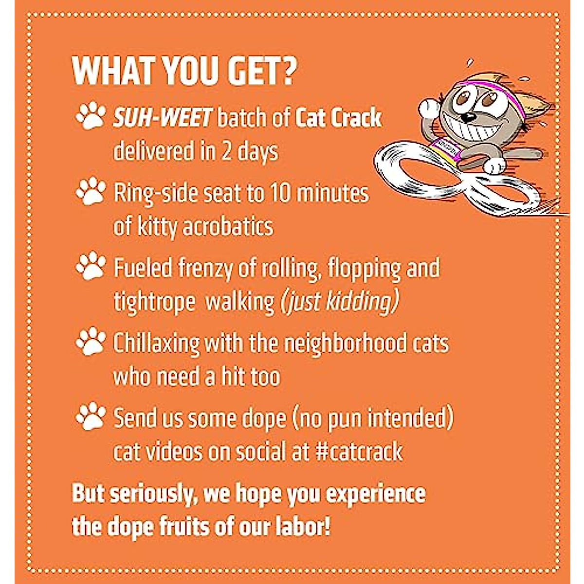 Cat Crack Organic Catnip, 100% Natural Cat Nips Organic Blend That Energizes and Excites Cats, Safe Catnip Treats Used for Cat Play, Cat Training, & New Organic Catnip Toys for Cats(1 Cup Organic)