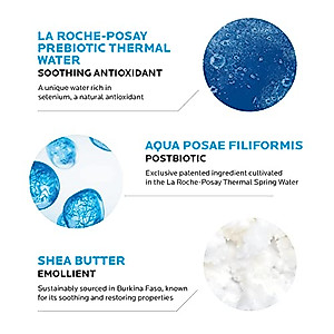 La Roche Posay Lipikar Wash AP+ Body & Face Wash with Pump, Gentle Daily Cleanser with Shea Butter & Niacinamide for Extra Dry Skin, Allergy Tested