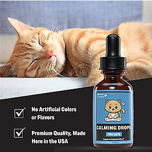 Winnie & Lottie Cat Calming Drops | Cat Anxiety Relief | Calm Cat | Anxiety Relief for Cats | Cat Calming | Cat Calming Supplement | Cat Anxiety | Cat Stress Relief | 1 fl oz | Roast Chicken Flavor