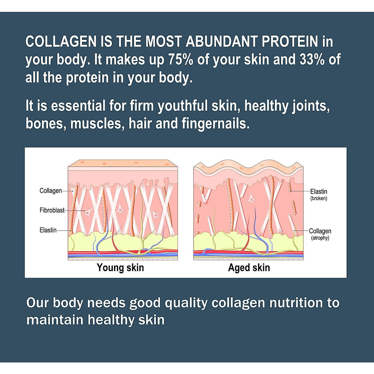 USANUTRA Collagen Peptide Protein Pills for Women and Men Type I, II, III, V, X Multi Collagen 180 Capsules Non-GMO with Bovine and Marine Collagen