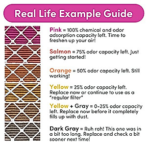 18x18x1 Air Filter by Colorfil | Color Changing Filters Designed for Cat and Dog Odor | MERV 8 Filter | Air FIlter 18x18x1 | Air Conditioner Filter | HVAC Filter for Pet Hair | 18x18 Air Filter 2 pack