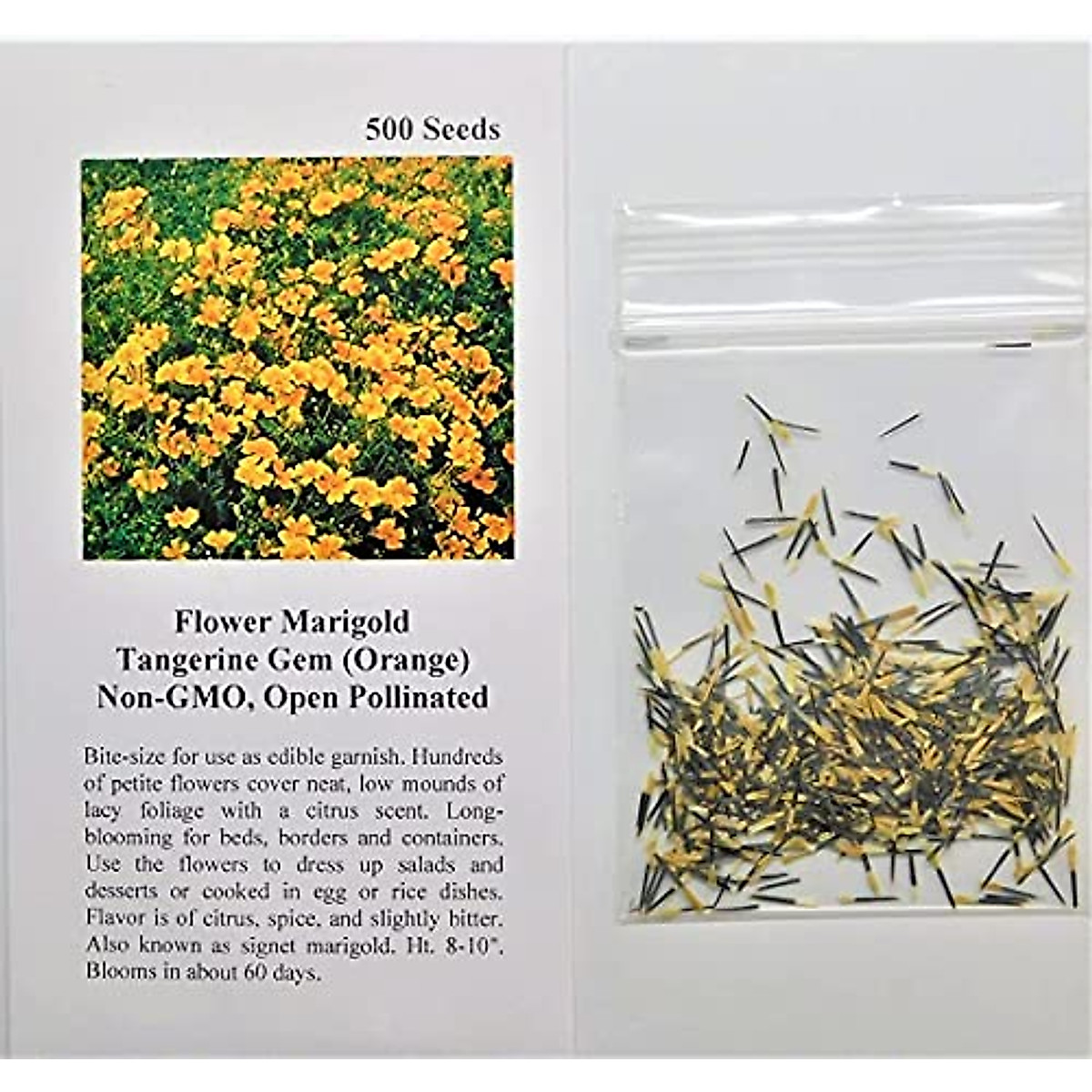 David's Garden Seeds Flower Marigold Tangerine Gem 5552 (Orange) 200 Non-GMO, Heirloom Seeds