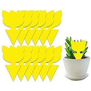 COSYWORLD 12 Pack Yellow Sticky Bugs Traps for Indoor/Outdoor Use, Gnat Trap for Flying Plant Insect Such as Fungus Gnats, Whiteflies, Aphids, Fruit Fly, Leafminers- Disposable Glue Trappers