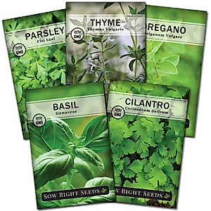 Sow Right Seeds - Hydroponic Herb Seeds for Planting - Basil, Thyme, Cilantro, Parsley, & Oregano Seeds for Planting and Growing a Hydroponic Garden Indoors - Perfect for Your Growing Tower or System