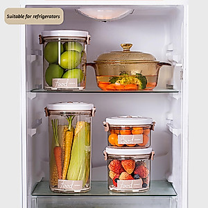 AYYOYYOY Vacuum Seal Containers - Marinade and Keep Food Fresh with Time Dial, BPA Free, Drainer, Microwave Friendly (2.68Cups Circular)