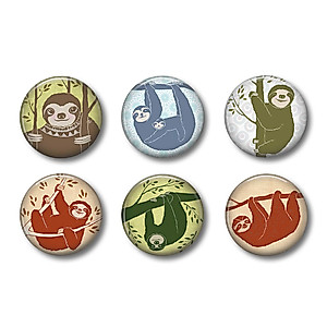 Sloth Magnets: Cute Locker Magnets for Boys and Girls (Sloth)