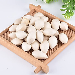 Dired Bai Guo Ginkgo Fruit Yin Xing,Ginkgo Biloba Whitenut Ginkgo Nuts Bai Guo Semen Ginkgo Ginko Nut Ginkgo Semen (250 g(0.55 lbs))