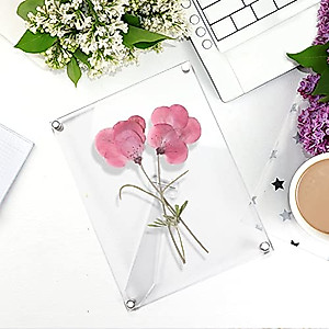 Serwrsw 4 Pack 5x7 Acrylic Floating Frames, Clear Desk Frame for Family Photos or Office Pressed Flowers, Tabletop Display Frame for Kid Art Work