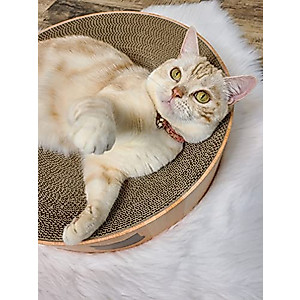 Necoichi Cozy Cat Scratcher Bowl, 100% Recycled Paper, Chemical-Free Materials (Bowl (Oak), Regular)