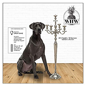 WHW Whole House Worlds Hamptons Tall Five Candle Silver Candelabra, Hand Crafted of Silver Aluminum Nickel, 4 FT High (48.75 Inches)