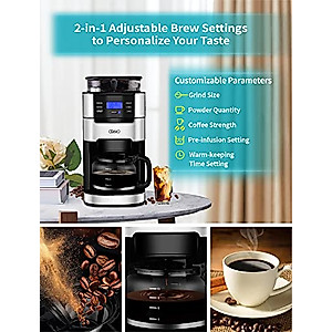 10-Cup Drip Coffee Maker, Grind and Brew Automatic Coffee Machine with Built-In Burr Coffee Grinder, Programmable Timer Mode and Keep Warm Plate, 1.5L Large Capacity Water Tank,900W, Black (Aluminum, 10 Cup)