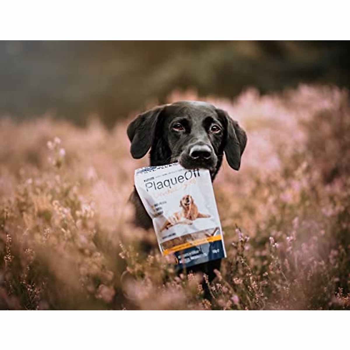 Proden Plaqueoff Dental Bites Dog, 150 G