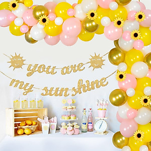 Sunflower Balloon Garland Arch Kit Pink Yellow, You Are My Sunshine Banner Party Decorations, Artificial Sunflower for Girls Birthday Party, Baby Shower, Wedding, Graduation, Anniversary