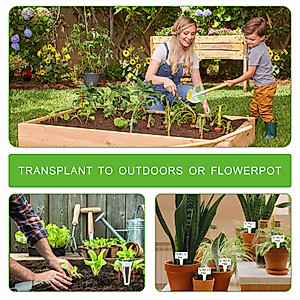 Luxmool 131 Pcs Seed Pods Kit Compatible with Aerogarden, Suitable for Hydroponics Growing System for a Variety of Plants, Outdoor and Indoor Hydroponics Supplies