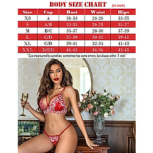 Avidlove Womens Lace Lingerie Set Sexy Bra and Panty Set Mini Babydoll Set Red Small