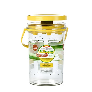 Flybuster Fly Trap - Outdoor Living, Non-Toxic Fly Trap, Pest Control Trap, 2-Liter Garden Size