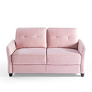 ZINUS Ricardo Velvet Loveseat Sofa, Easy, Tool-Free Assembly, Blush Velvet