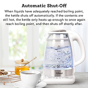 Tribest GKD-450 Raw Tea Kettle, Glass Electric Brewing System, 110V, 9 x 6.75 x 11 inches, White