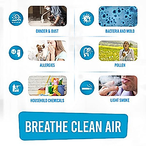 Air Purifiers for Home Large Room Bedroom Offices Living Room by De.Life H13 TRUE HEPA Air Filter with UV Light, Eliminate 99.98% Germs, Toxins, Smoke, Allergies and Pet Dander, Real Time Air Quality LED Screen Smart Display, Ultra Quiet Purifier