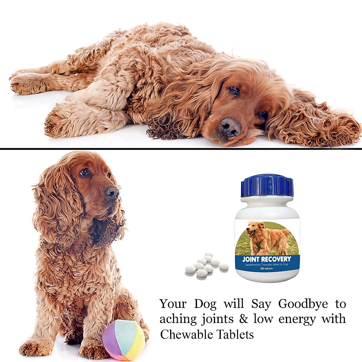 CoCoo Dog, Ferret & Rabbit Glucosamine, Joint Recovery Chewable Tablets, 180 Flavored Tablets, Improves Flexibility & Mobility