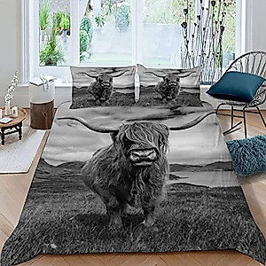 Quilt Cover Twin Size Scottish Highland Cattle 3D Bedding Sets Cow, Animal Duvet Cover Breathable Hypoallergenic Stain Wrinkle Resistant Microfiber with Zipper Closure,beding Set with 2 Pillowcase
