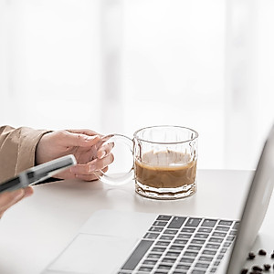 HolaJia Espresso Cups Glass Coffee Mugs 8.4 Oz Set of 2,Clear Embossed Tea Cups,Vintage Glassware with handle,Demitasse Glasses for Cappuccino,Latte,Hot Beverage(Begonia)