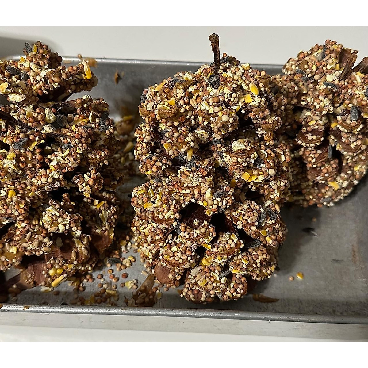 18-Pack Extra-Large (5 to 7 inch) Long Leaf Pine Cones for Decorating Home, Tables, Vase Fillers, Corporate Events, Crafts, Birdfeeders, Natural Pine Cone Holiday Ornaments. (unscented)