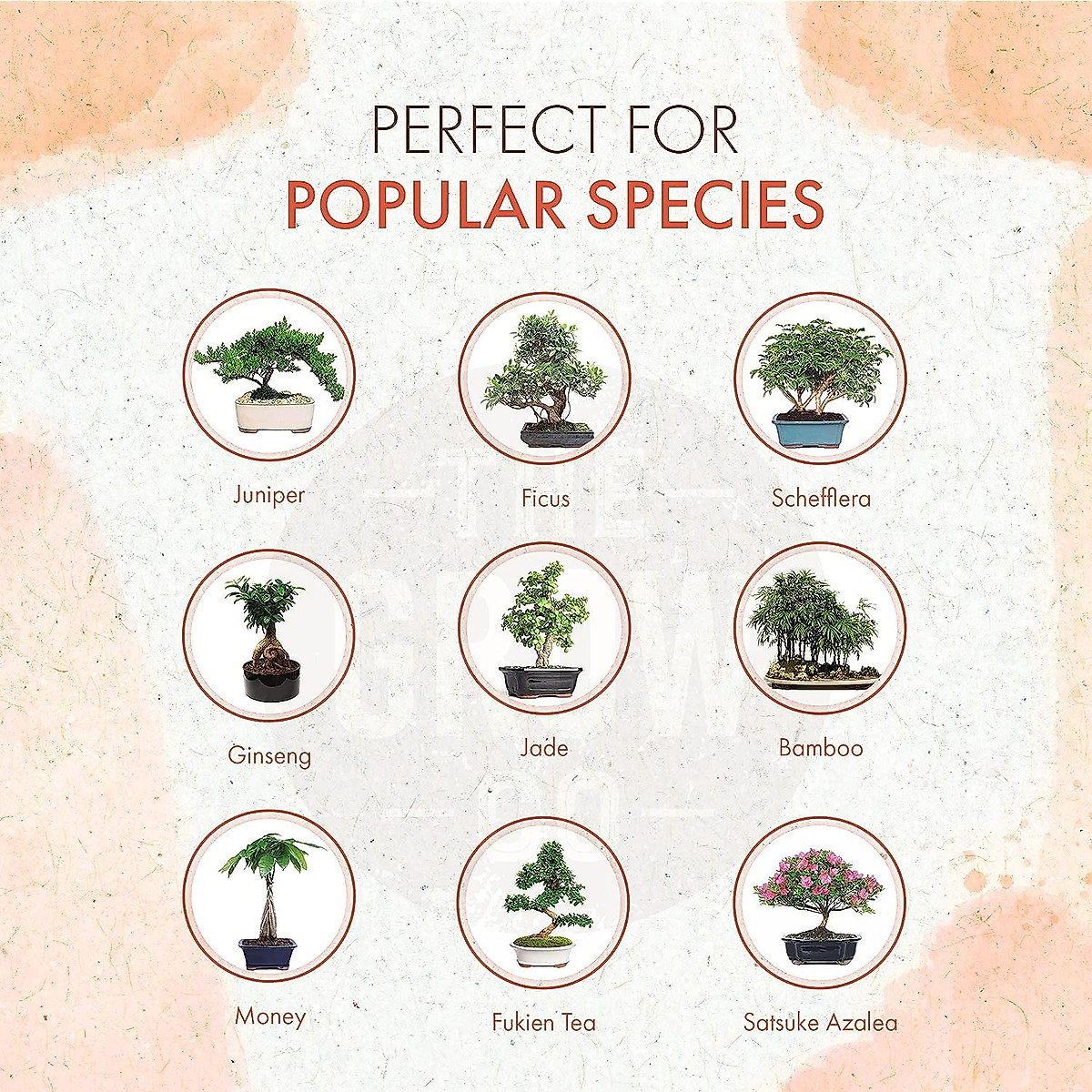 Bonsai Plant Food - Organic Liquid Fertilizer - Gentle Formula for Long Term Health - Excellent for All Live Indoor and Outdoor Bonsai Tree Plants in Pots (8 oz)