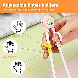 3 Pairs of Kids' Training Chopsticks with Silicone Rings - Beginner Chopsticks Set (Donut, Koala, Lollipop) with Storage Box
