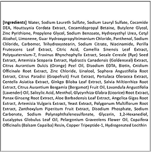 THE TRUST TS Shampoo 500ml(16.9oz), Healthy Hair and Scalp, Provides Vital Elements for Hair.