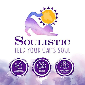 Soulistic Originals Good Karma Chicken Dinner in Gravy Wet Cat Food Pouches, 3 oz., Case of 8