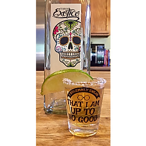 GO FROZEN Inspired by Harry Potter Shot Glass-I Solemnly Swear-Mischief Managed