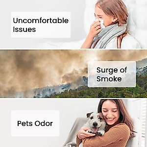 smartmi Filter Replacement - H13 True HEPA, Preliminary Layer and Inner Layer - Absorbs Pollen, Dust, and More Particles at Home, Office