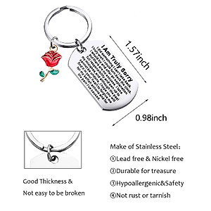 WSNANG Apology Keychain Gift Sorry Jewelry I Am Truly Sorry Gift Idea for Apologizing Forgive Me Gifts (I Am Truly Sorry DT)