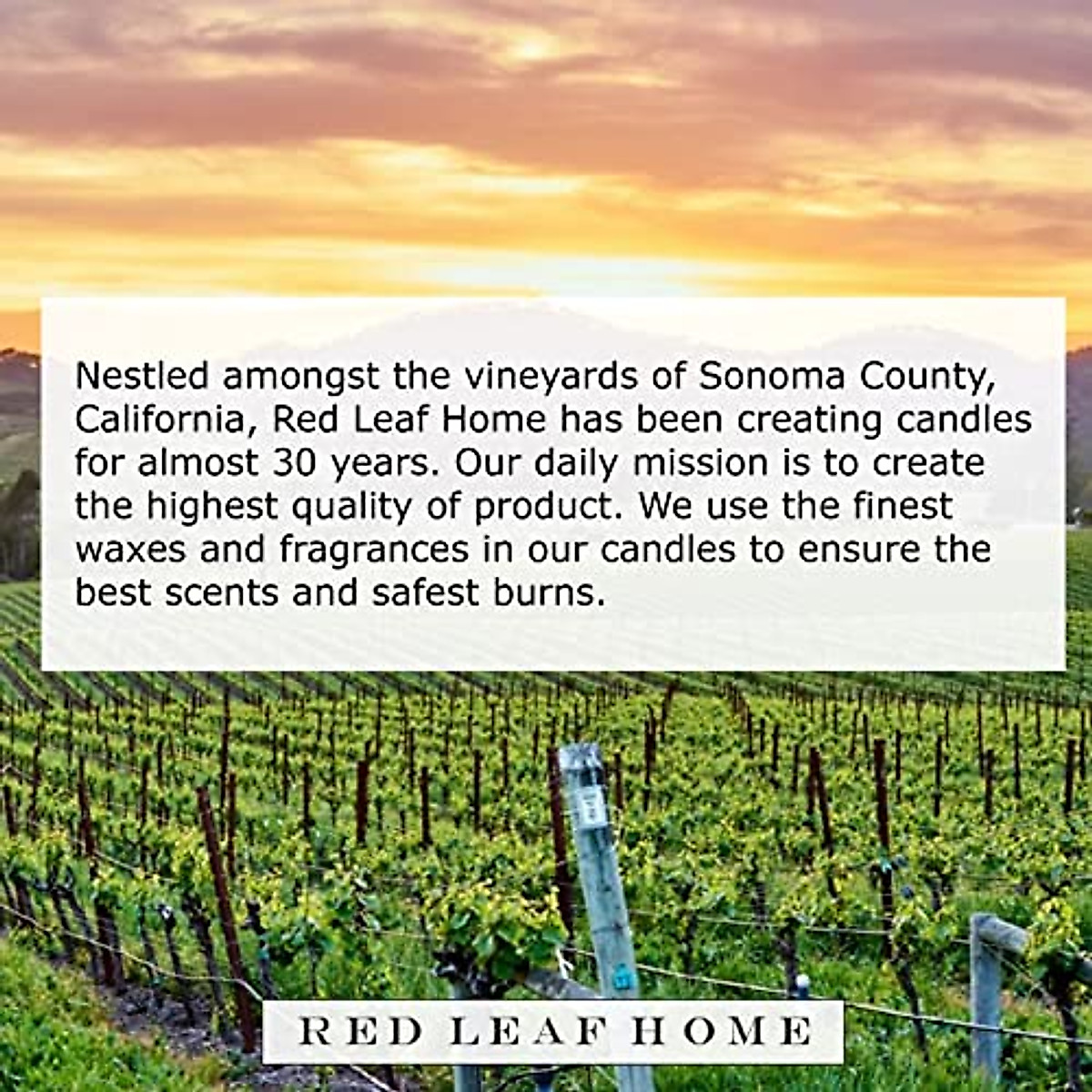 Red Leaf Home Provence Lavender Candle - Naturals Collection, Large - 15.5 Ounce Jar