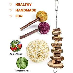 Sofier Rabbit Toys Bunny Toys Guinea Pig Toys 17pcs Natural Timothy Hay Treats Hamster Toys for Teeth Handmade Rabbit Treats and Chews Chinchilla Rat