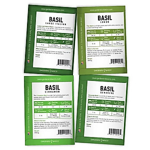 Basil Seeds for Planting Home Garden - 8 Variety Herb Pack Genovese, Large Leaf, Lemon, Thai, Red Rubin, Cinnamon, Sweet and Purple Opal Basil Herb Seeds for Indoors & Outdoors by Gardeners Basics