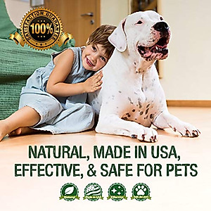 Pawstruck Professional Strength Stain & Odor Remover - Natural Enzyme Cleaner (Bulk 32oz) for Dog & Cat Urine, Waste, Wine, Blood, Vomit, etc. Safe & Effective Pet Smell Eliminator for Carpet, Hardwood & More