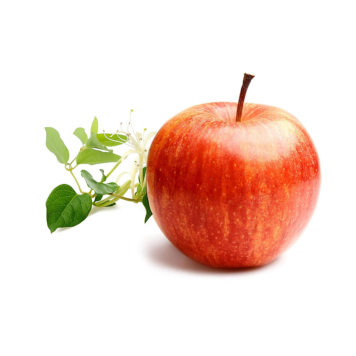 Derek Lam 10 Crosby - Drunk On Youth - 0.12 Oz Eau De Parfum - Solid Stick Perfume For Women - Fruity And Floral Scent - Apple And Honeysuckle Accords