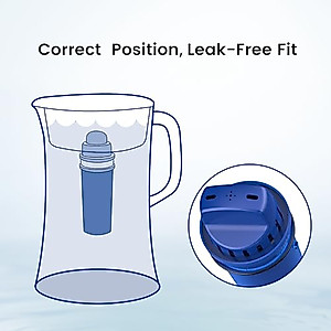 Waterspecialist NSF Certified Replacement Pitcher Water Filter, Replacement for Pur® Pitchers and Dispensers PPT700W, CR-1100C and PPF951K Water Filter (Pack of 4)