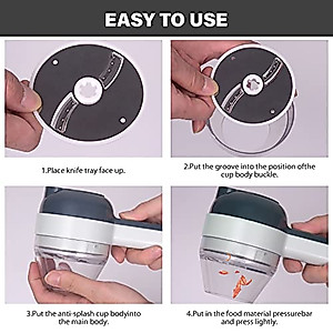 Arigold 3SPEEDS 4 in 1 Vegetable Chopper: Cordless Mini Chopper, cabbage Dicer, meat grinder, Vegetable cutter. Comes with Egg and Cream Beater - Vegetable Slicer Dicer, home & kitchen. (Grey)